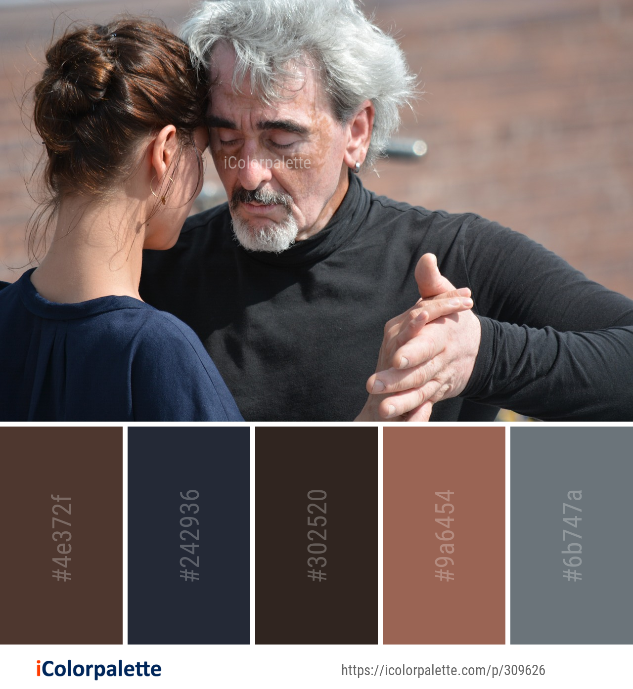9 Senior Citizen Color Palette ideas in 2025 | iColorpalette