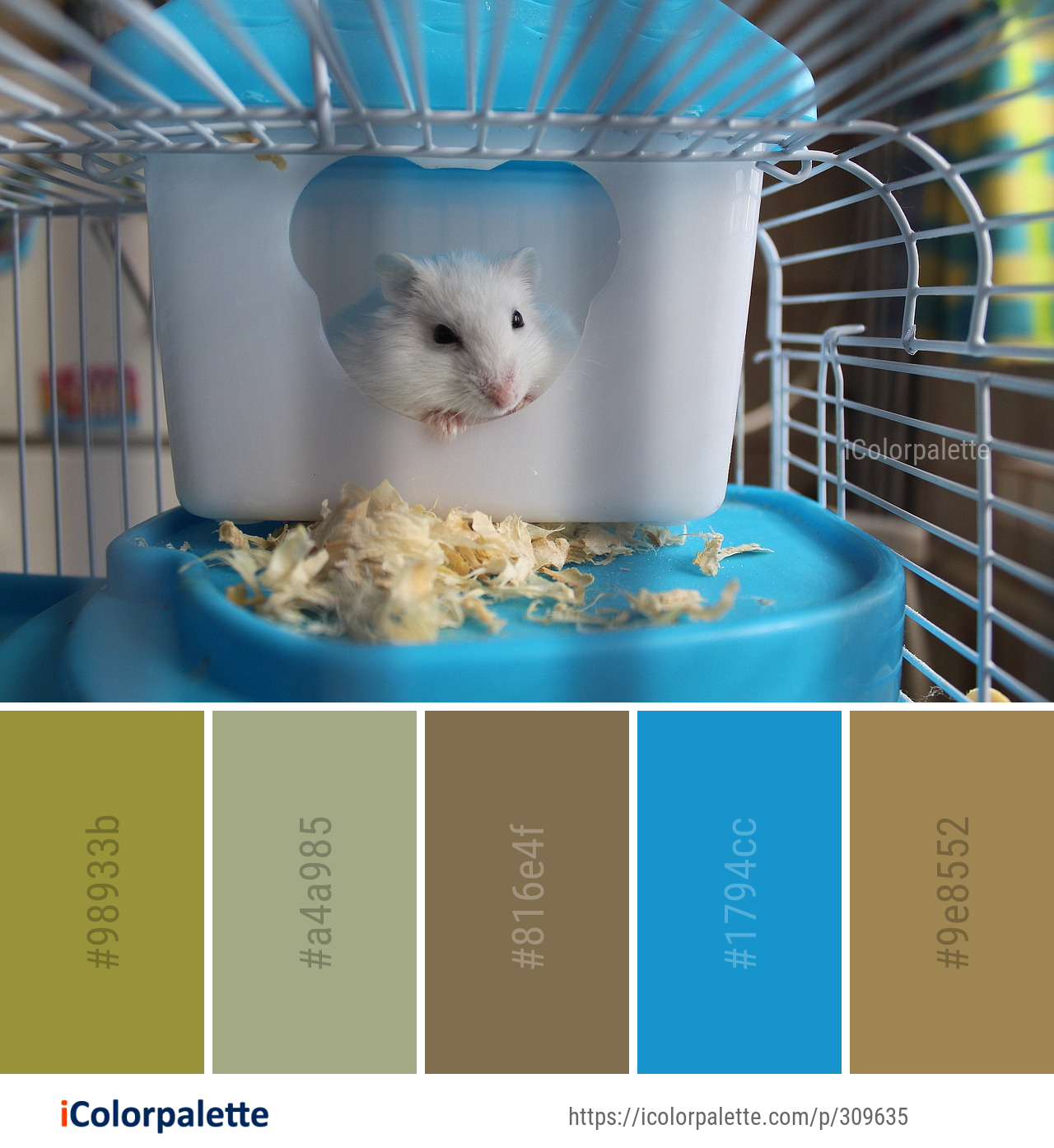 Color Palette Ideas from Blue Hamster Muroidea Image | iColorpalette