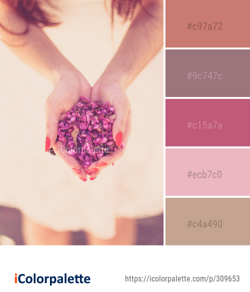 27 Pink Color Combinations | Curated collection of Color Palettes