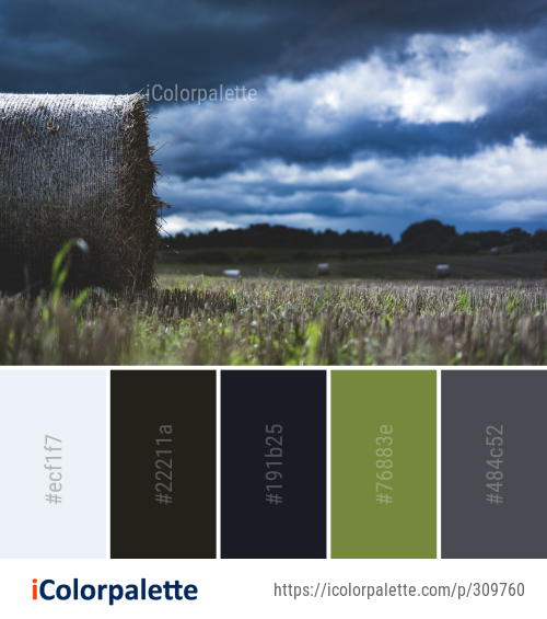 206+ Farm Color Palette ideas in 2025 | iColorPalette