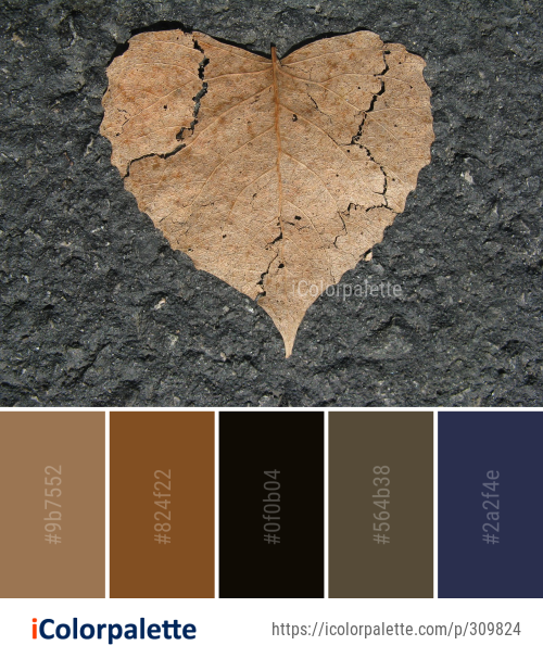 Color Palette Ideas from Leaf Soil Geology Image | iColorpalette