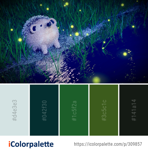 Color Palette Ideas from Blue Nature Sky Image | iColorPalette