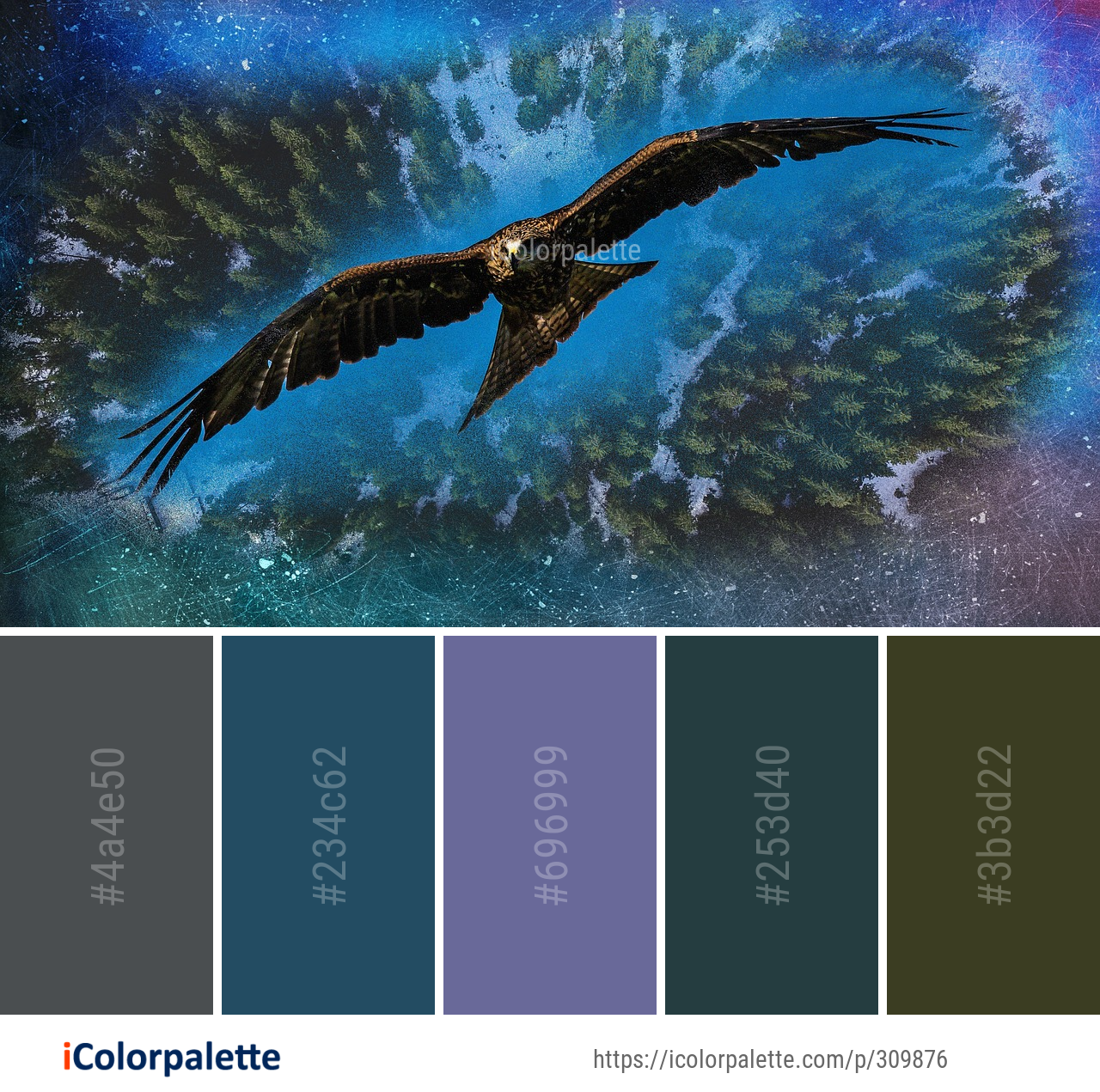 Color Palette Ideas from Ecosystem Fauna Water Image | iColorpalette