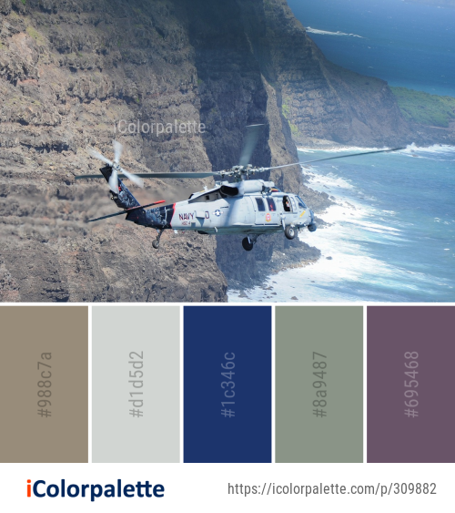 28+ Aviation Color Palette ideas in 2025 | iColorPalette