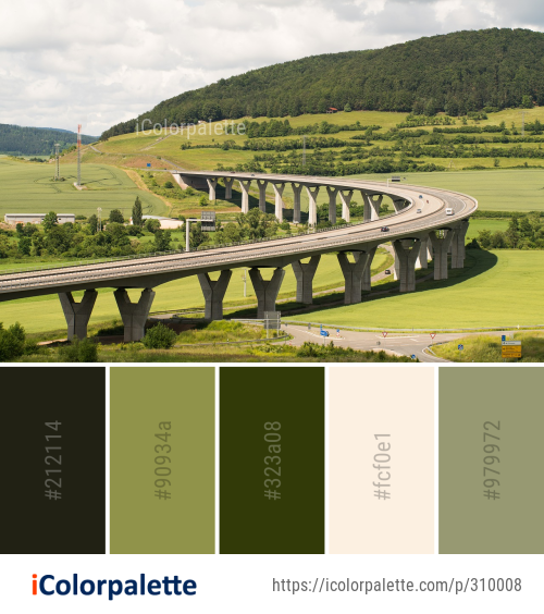 Color Palette Ideas from Road Green Bridge Image | iColorpalette