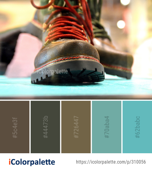 Color Palette Ideas from Footwear Shoe Close Up Image | iColorpalette