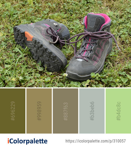 Color Palette Ideas from Footwear Shoe Grass Image | iColorpalette