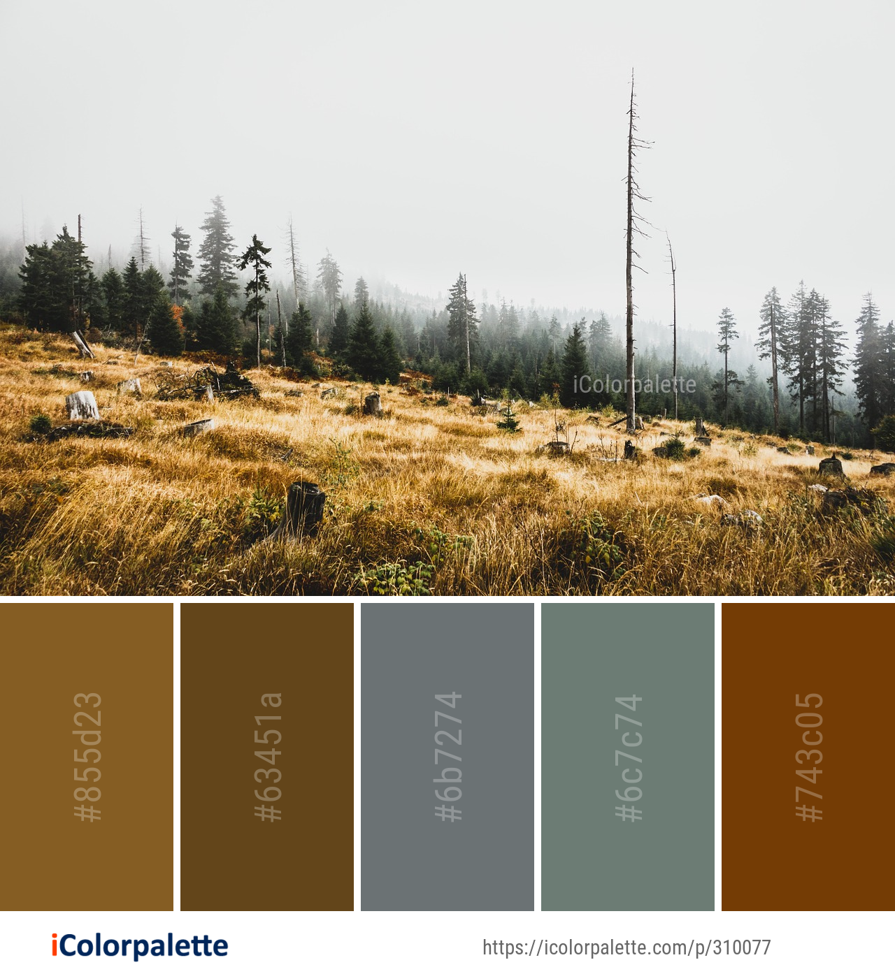 Color Palette Ideas from Wilderness Ecosystem Mountainous Landforms ...