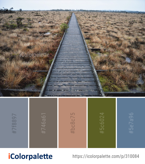 Color Palette Ideas from Track Transport Sky Image | iColorpalette
