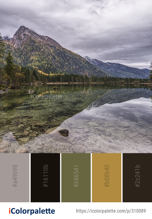 Color Palette Ideas from Reflection Nature Wilderness Image | iColorpalette