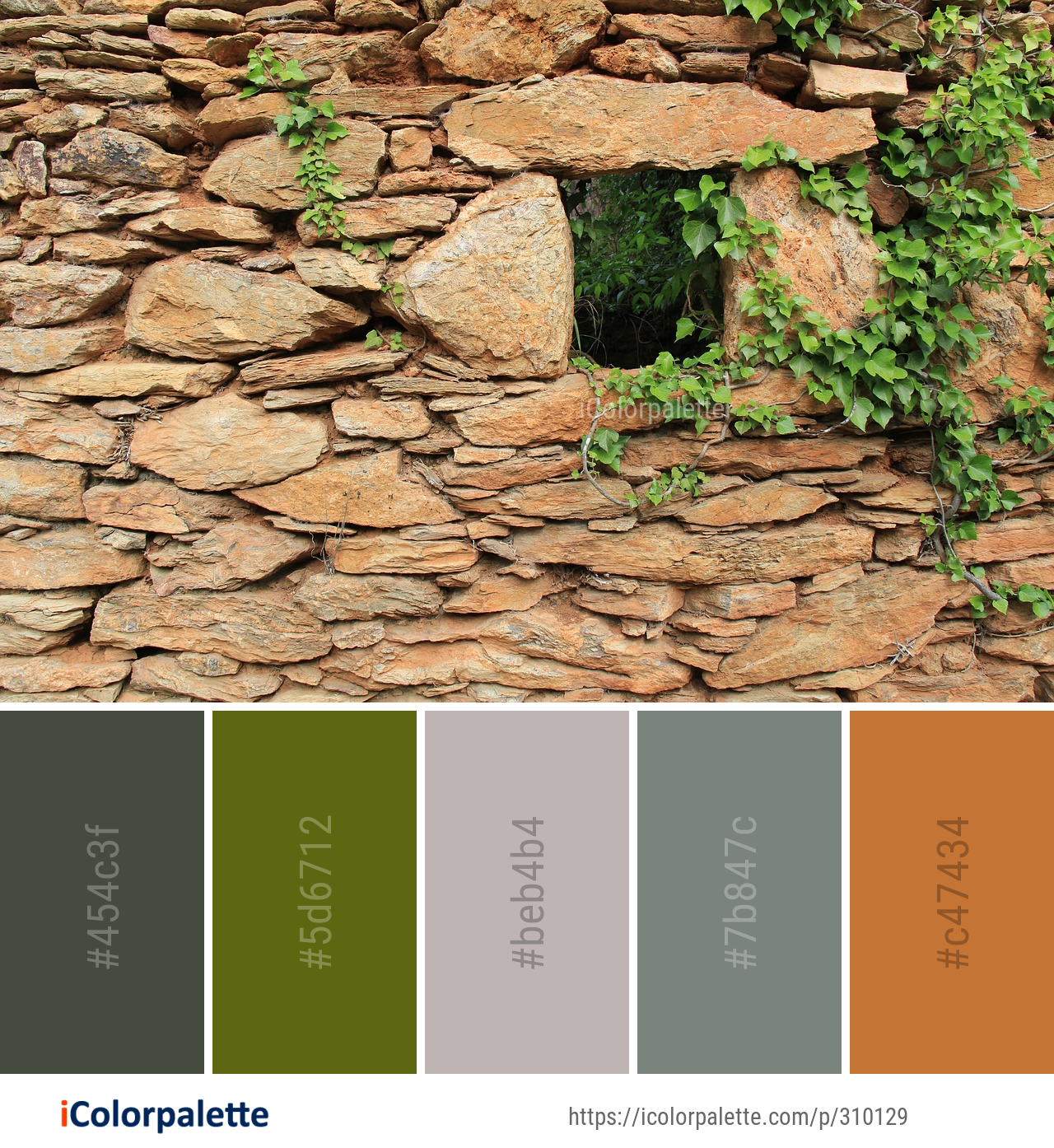 Color Palette Ideas from Rock Wall Stone Image | iColorpalette