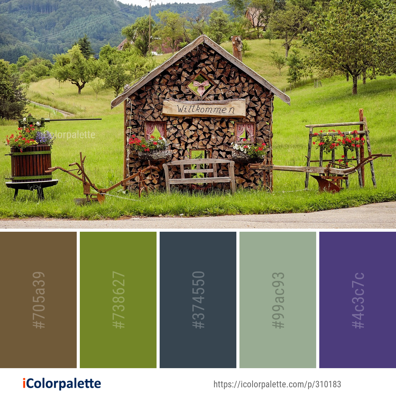 Color Palette Ideas from Rural Area Tree Grass Image | iColorpalette