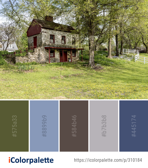 41+ Log Cabin Color Palette ideas in 2026 | iColorPalette