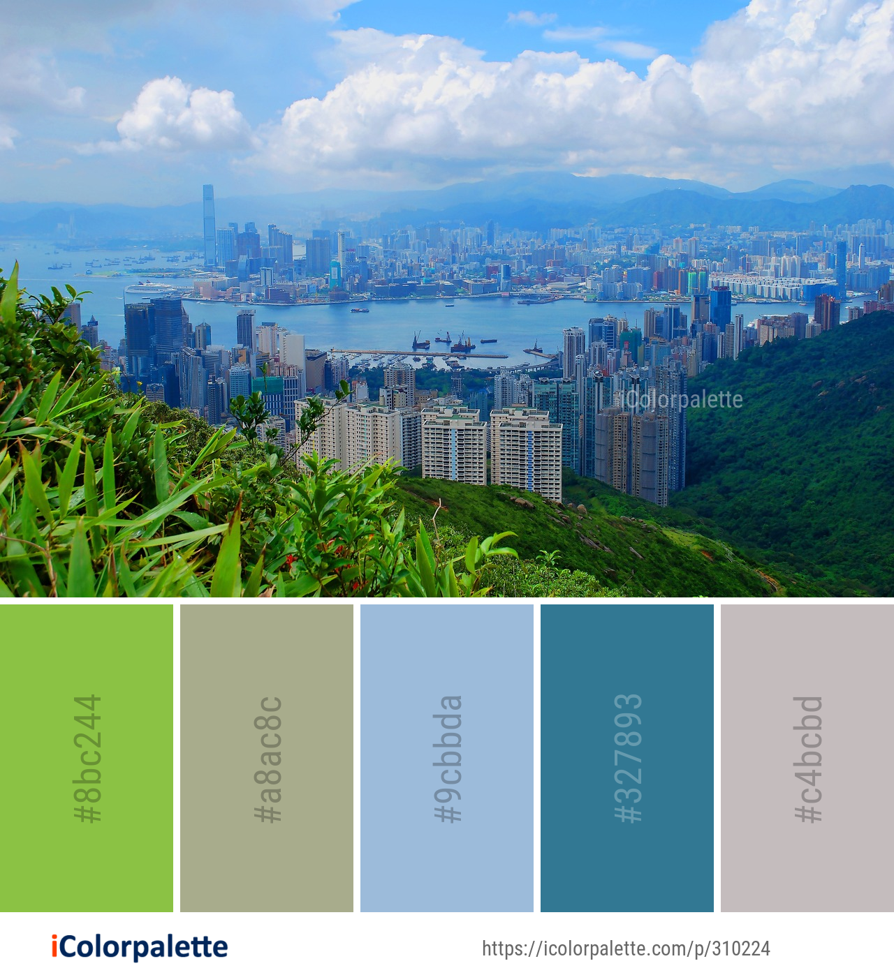 Color Palette Ideas from Metropolitan Area City Sky Image | iColorpalette