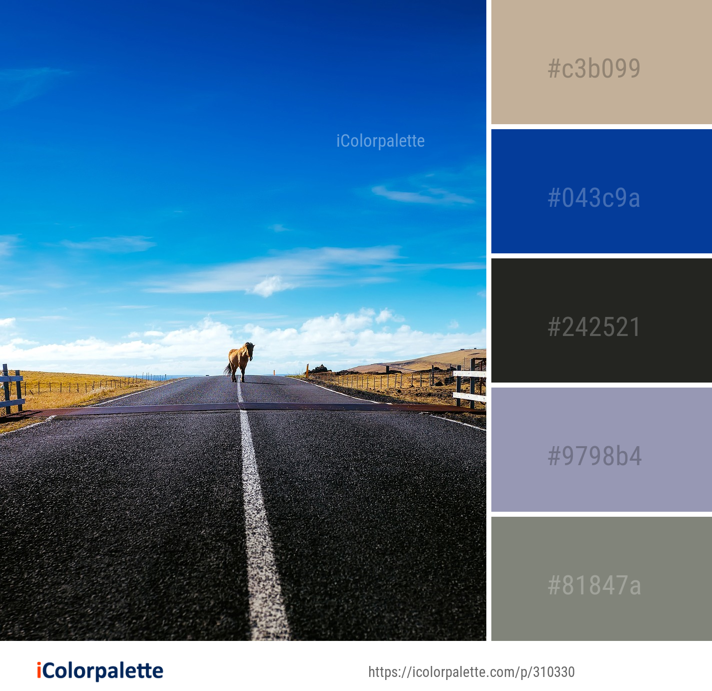 Color Palette Ideas from Road Sky Cloud Image | iColorpalette