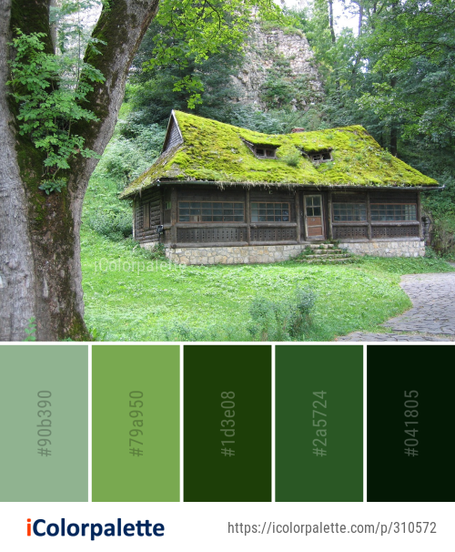 Color Palette Ideas from Green Tree Vegetation Image | iColorpalette