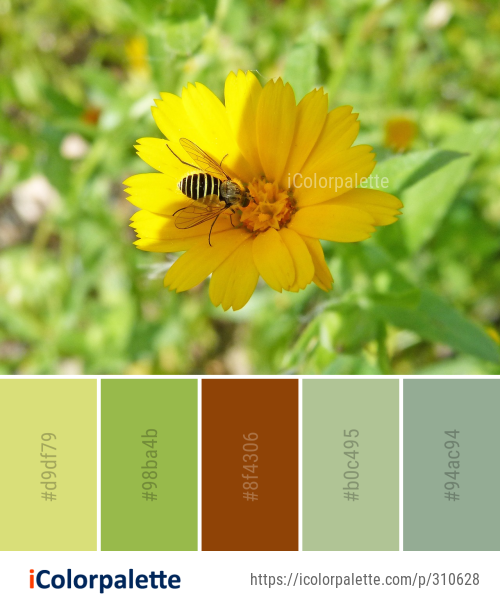 Color Palette Ideas from Flower Yellow Nectar Image | iColorpalette