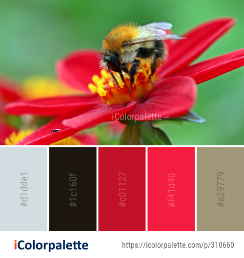Color Palette Ideas from Bee Honey Bumblebee Image | iColorpalette
