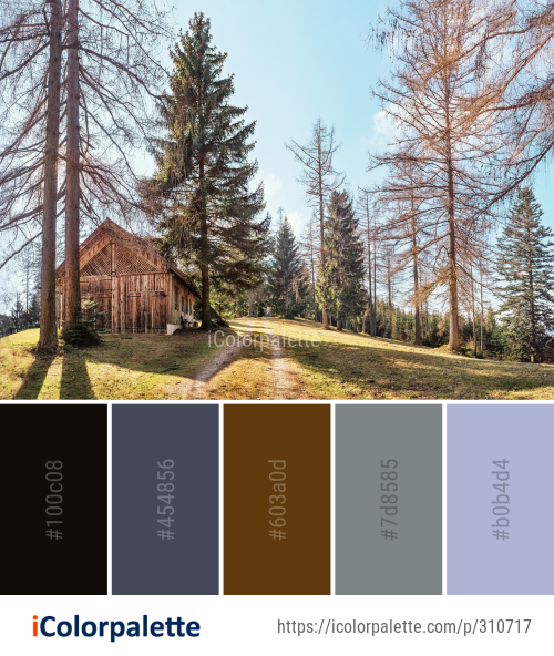 Color Palette Ideas from Tree Woody Plant Ecosystem Image | iColorpalette