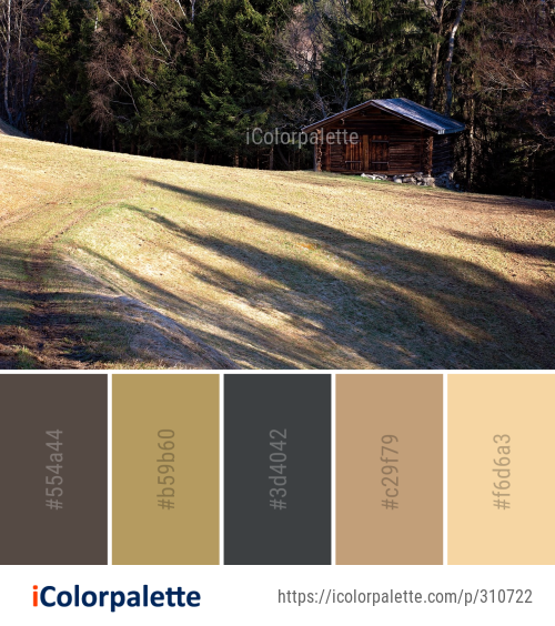 Color Palette Ideas from Path Nature Tree Image | iColorpalette