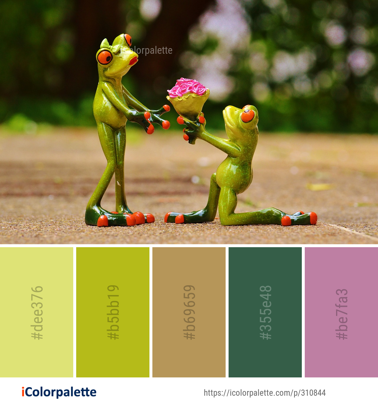 Color Palette Ideas from Vertebrate Frog Amphibian Image | iColorpalette