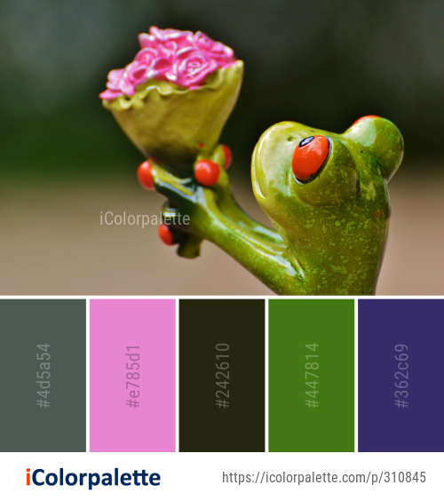 tree frog – iColorpalette