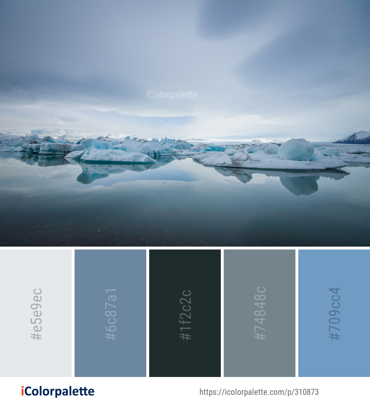 Color Palette Ideas from Water Arctic Ocean Reflection Image ...