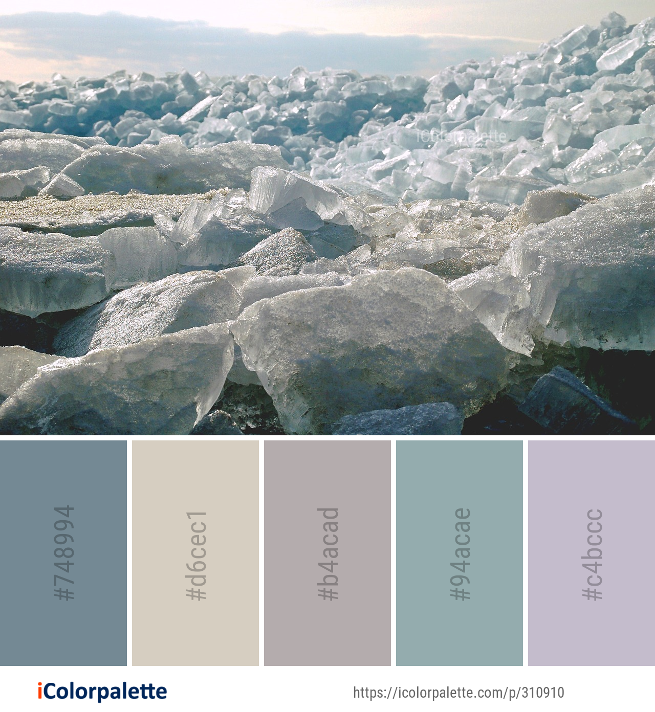 Color Palette Ideas from Arctic Ocean Ice Freezing Image | iColorpalette
