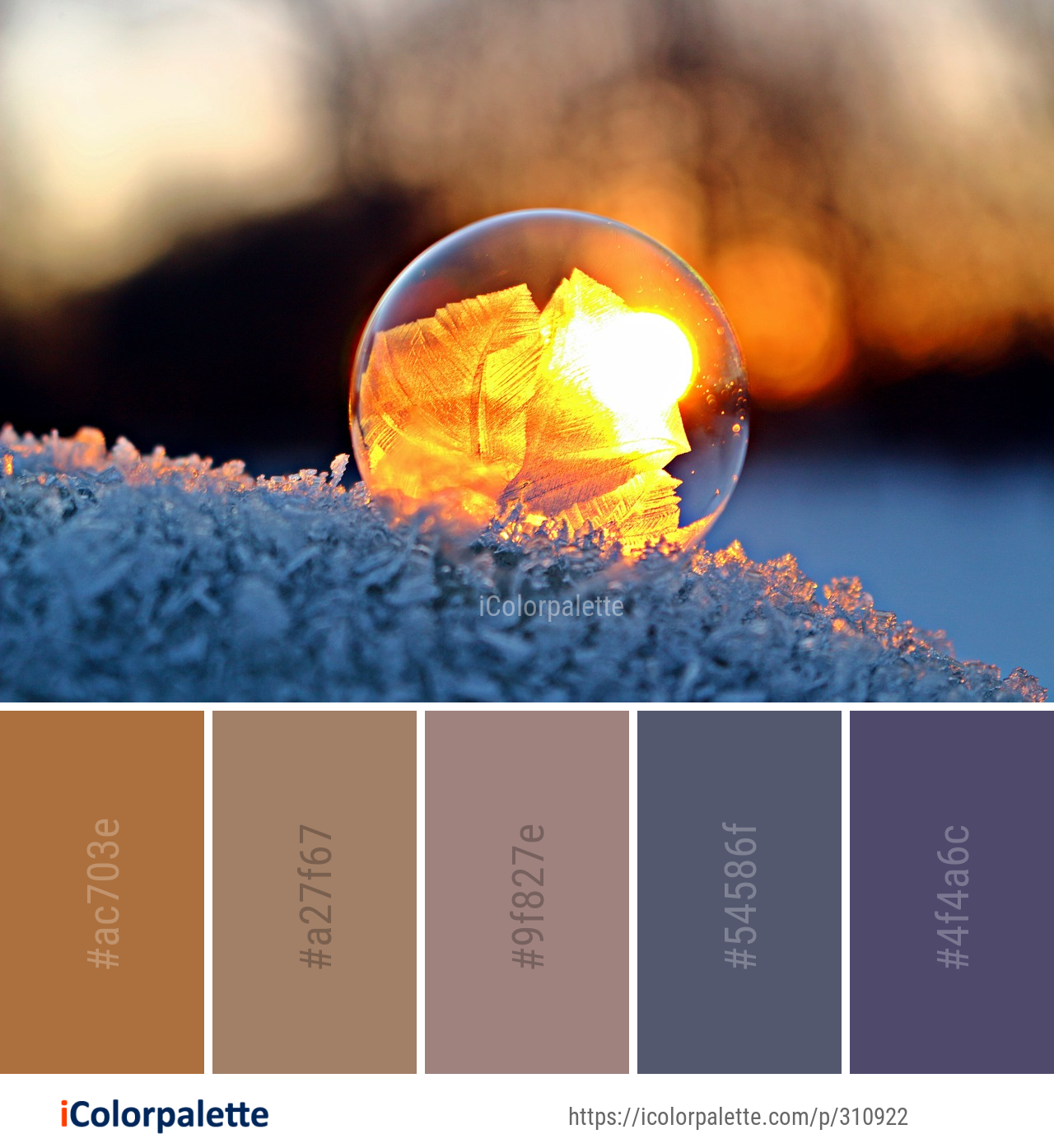 Color Palette Ideas from Light Close Up Reflection Image | iColorpalette
