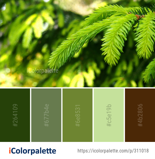 Color Palette Ideas from Vegetation Ecosystem Tree Image | iColorpalette