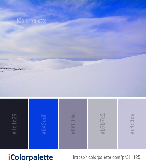 233+ Arctic Color Palette ideas in 2026 | iColorPalette