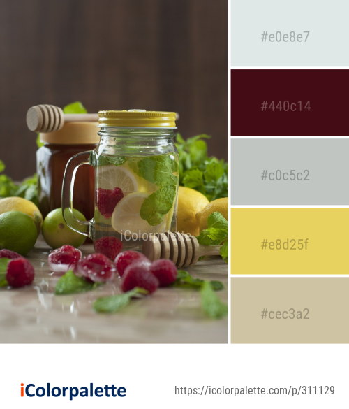 Color Palette Ideas from Drink Fruit Lime Image | iColorpalette