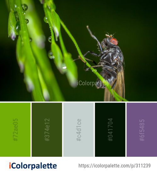 6 Cicada Color Palette ideas in 2025 | iColorpalette