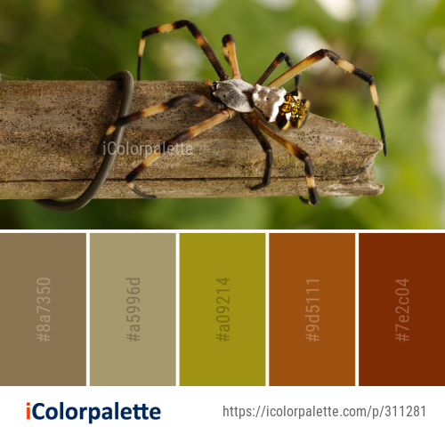 32+ Spider Color Palette ideas in 2026 | iColorPalette