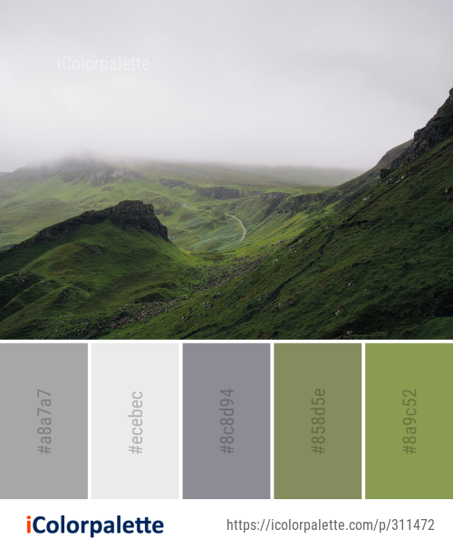 Color Palette Ideas from Highland Green Mountainous Landforms Image ...