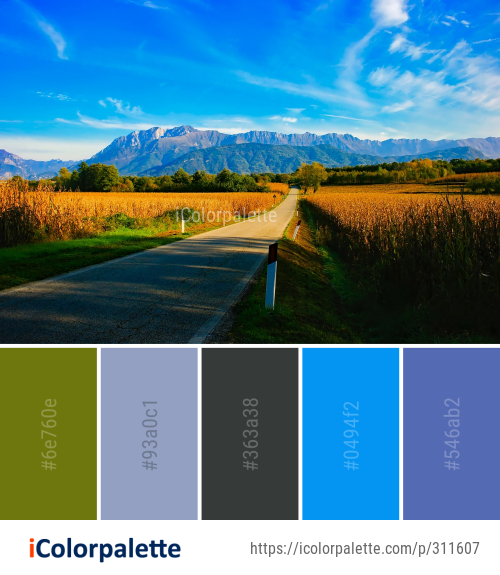 Color Palette Ideas from Road Sky Nature Image | iColorpalette