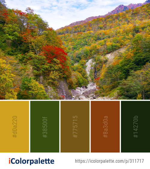 Color Palette Ideas from Leaf Nature Vegetation Image | iColorpalette
