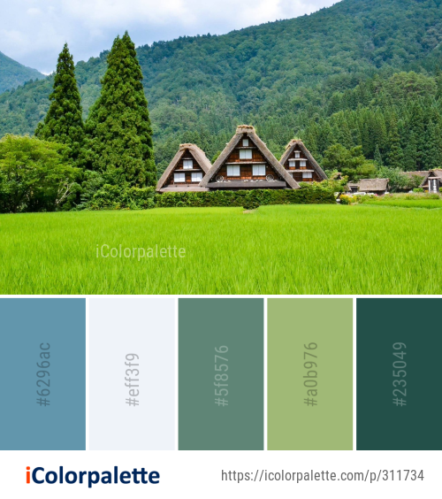 Color Palette Ideas from Grassland Nature Field Image | iColorPalette