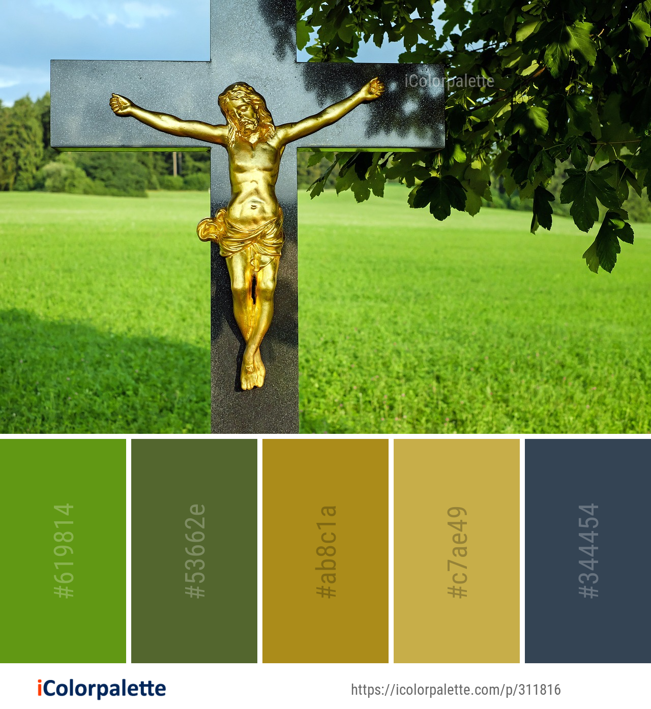 Color Palette Ideas from Yellow Grass Religious Item Image | iColorpalette