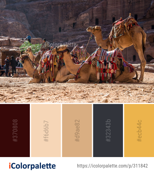 10+ Camel Color Palette ideas in 2025 | iColorPalette