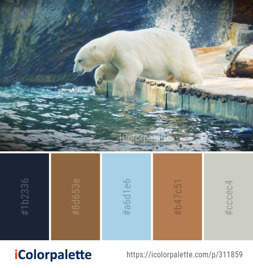 Color Palette Ideas from Polar Bear Image | iColorpalette