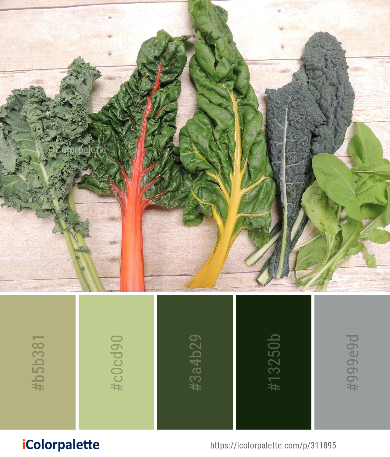 7 Kale Color Palette ideas in 2025 | iColorpalette