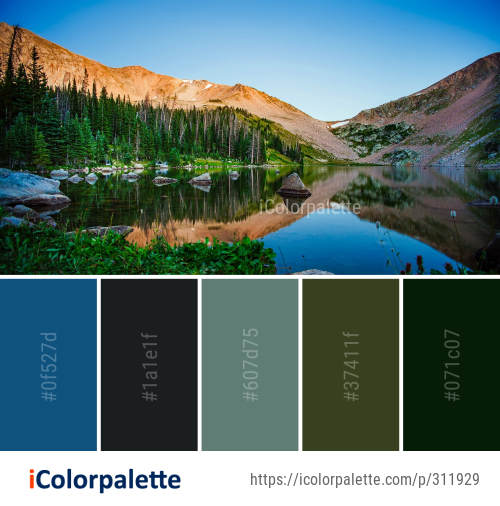 Color Palette Ideas from Reflection Nature Wilderness Image | iColorpalette
