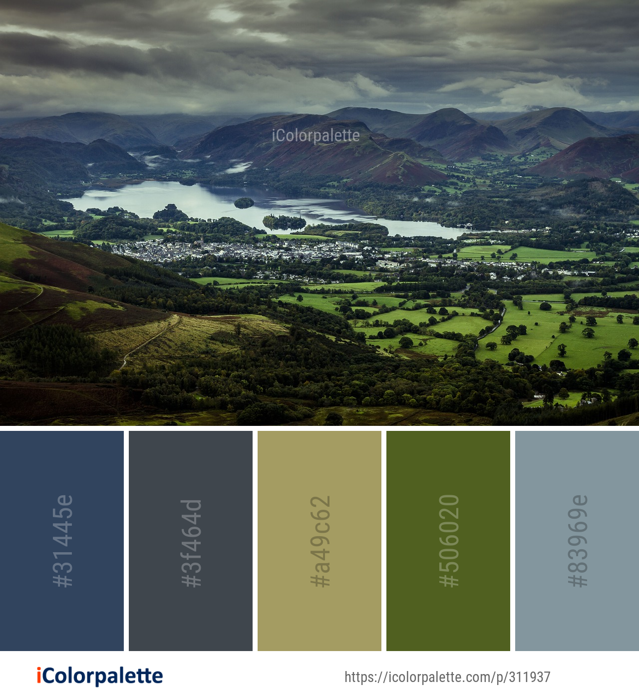 Color Palette Ideas from Highland Nature Green Image | iColorpalette