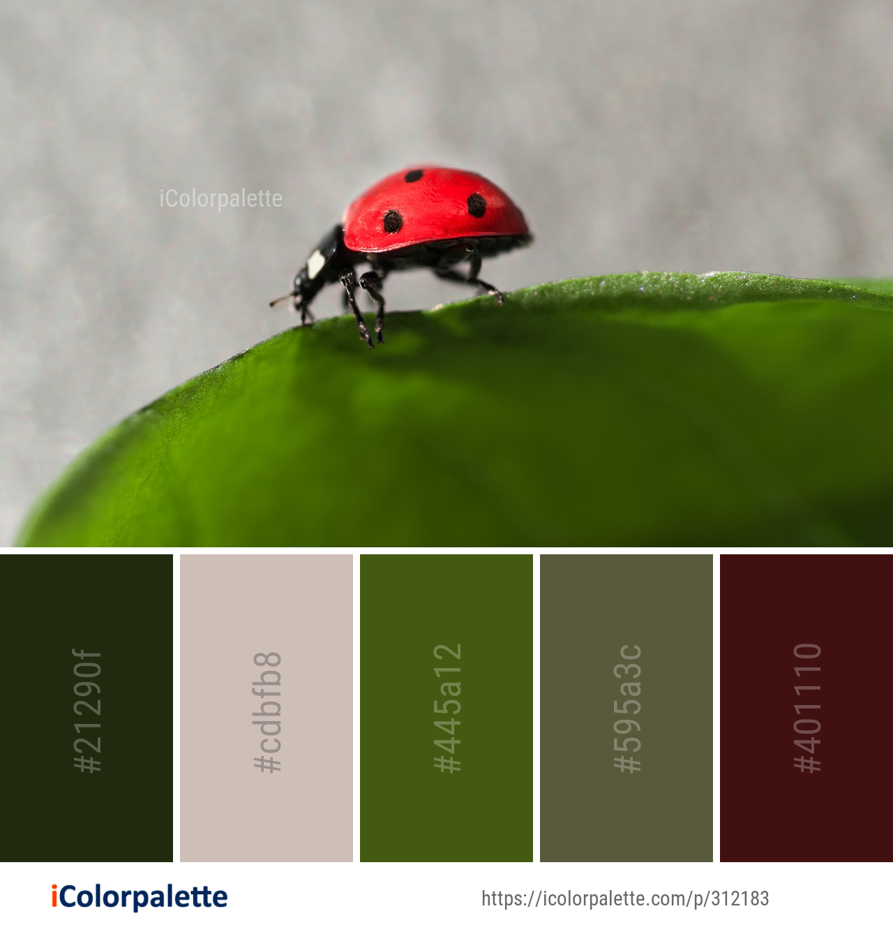 44 Leaf Beetle Color Palette ideas in 2025 | iColorpalette