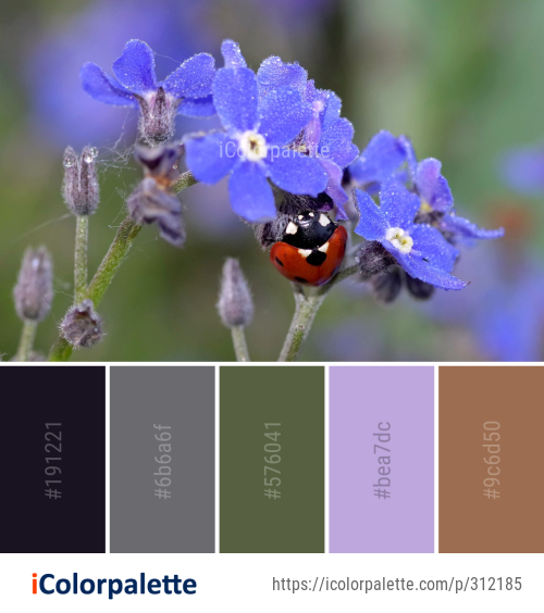 Color Palette Ideas from Flower Flora Nectar Image | iColorpalette