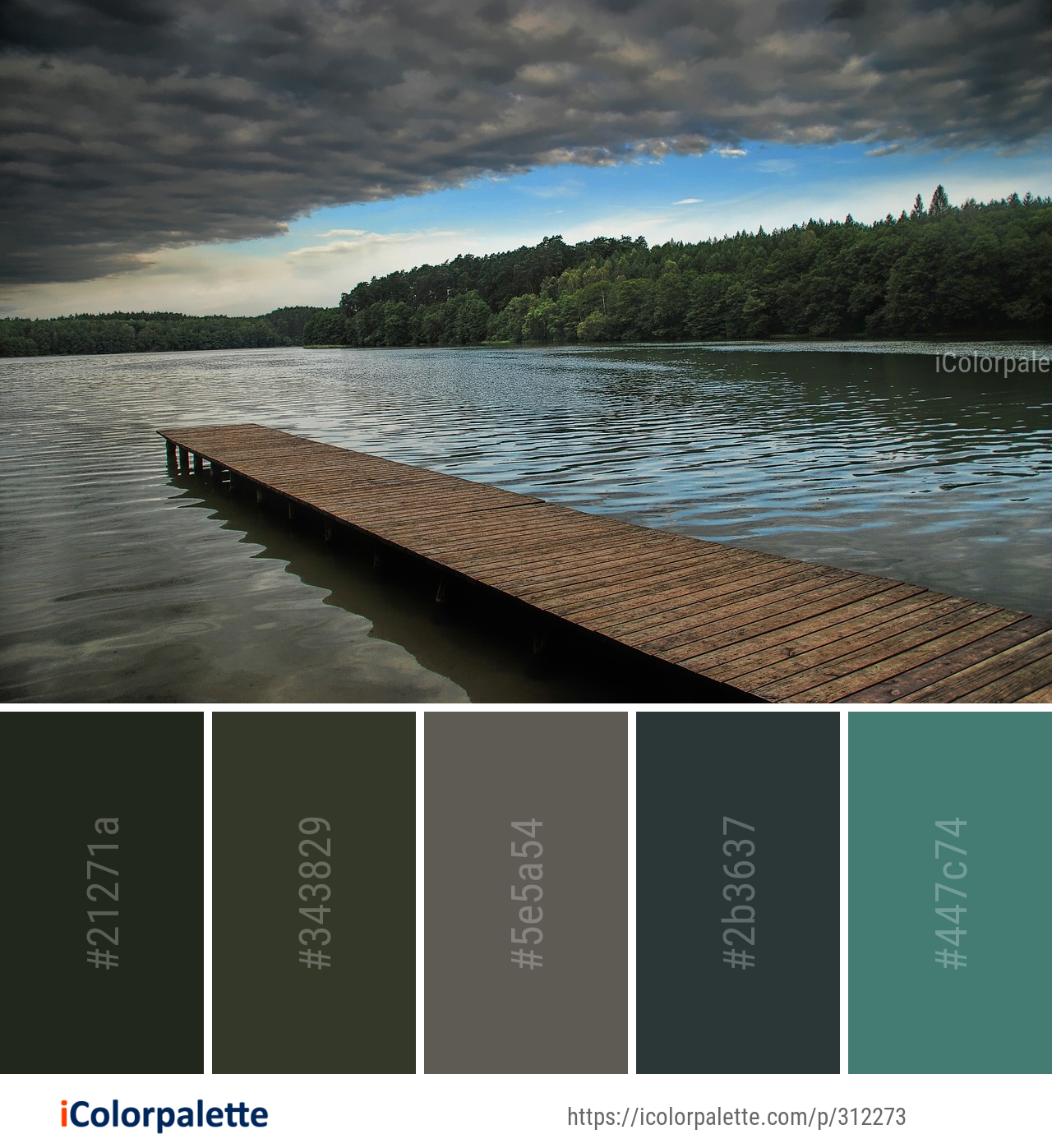 Color Palette Ideas from Water Reflection Sky Image | iColorpalette
