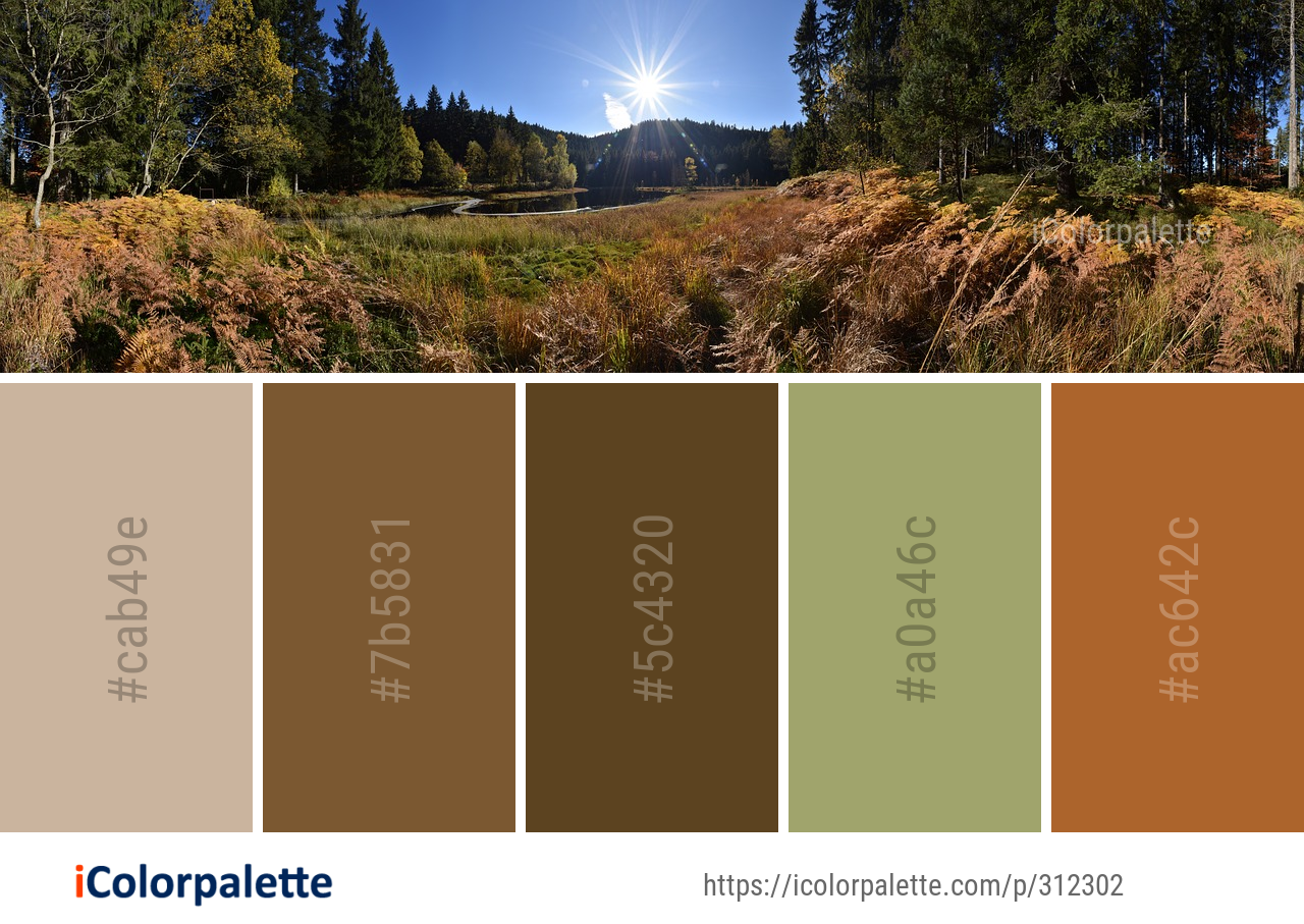 Color Palette Ideas from Nature Ecosystem Wilderness Image | iColorpalette