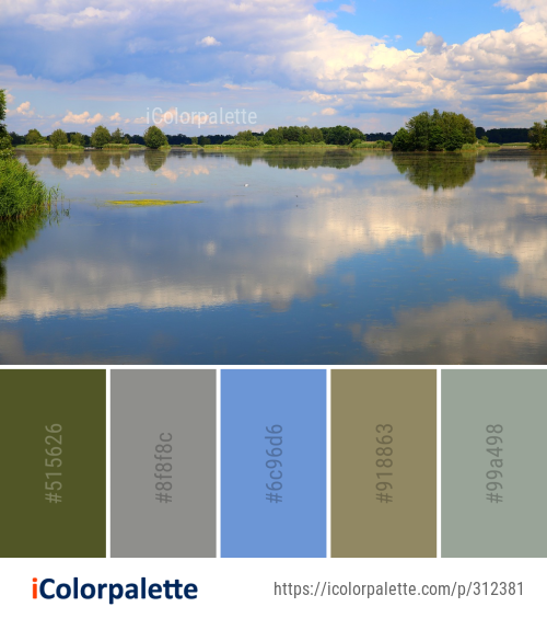 312+ Wetland Color Palette ideas in 2026 | iColorPalette