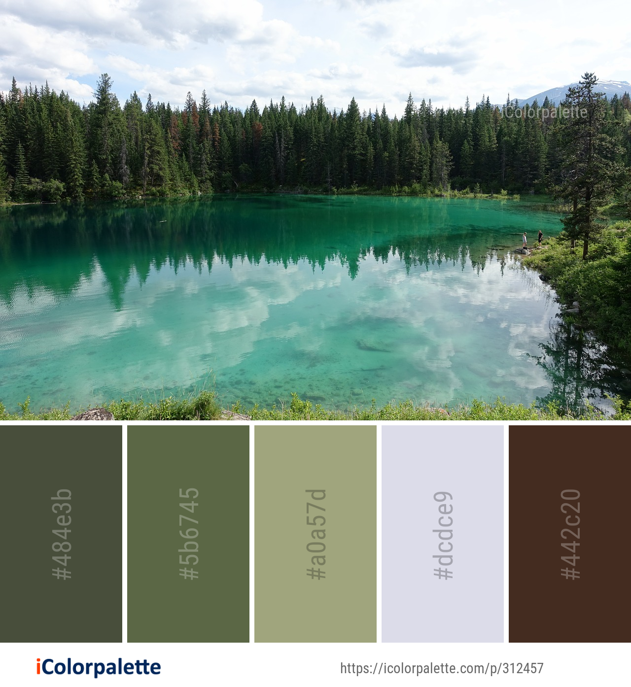 Color Palette Ideas from Nature Reserve Lake Image | iColorpalette